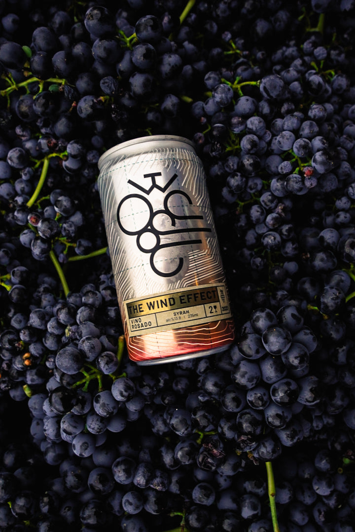 Productos – The Wind Effect